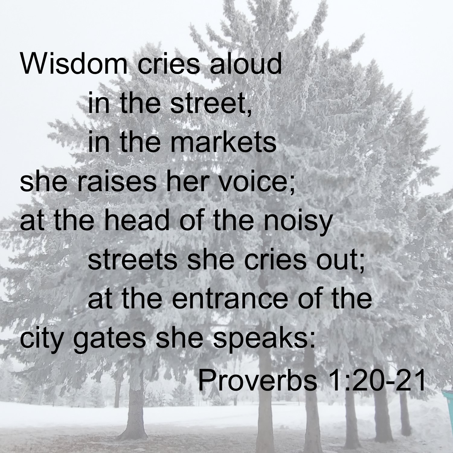 Wisdom’s Voice – Pleading in Prayer