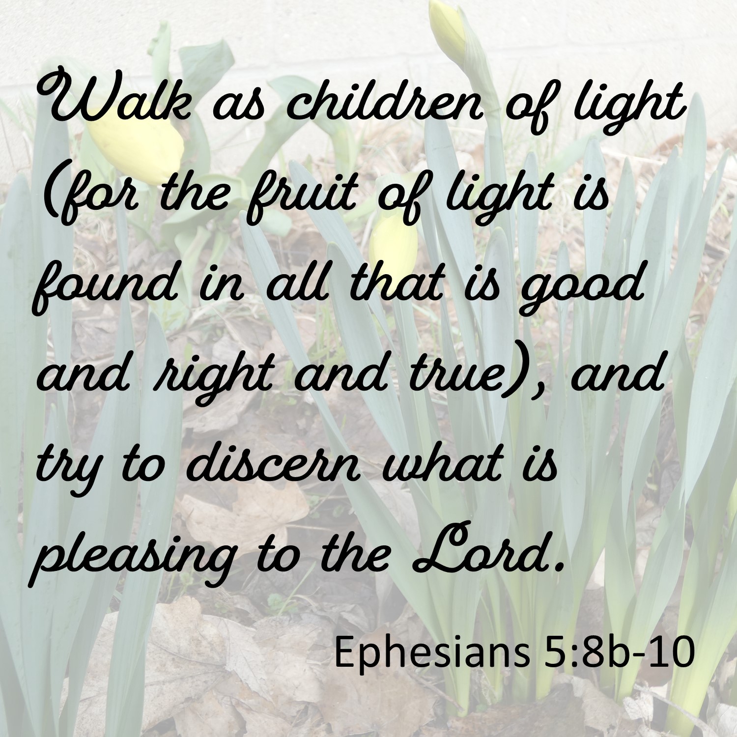 Light and Discernment – Pleading in Prayer