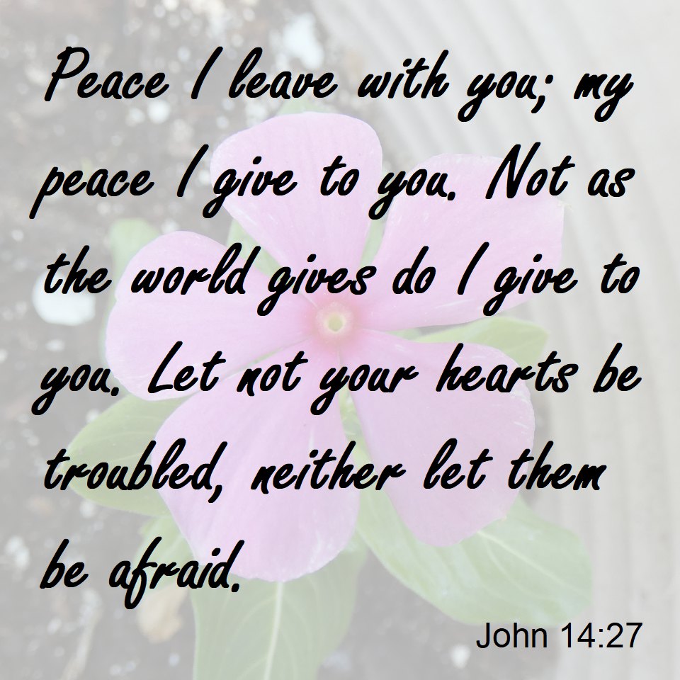 Where is Peace? – Pleading in Prayer