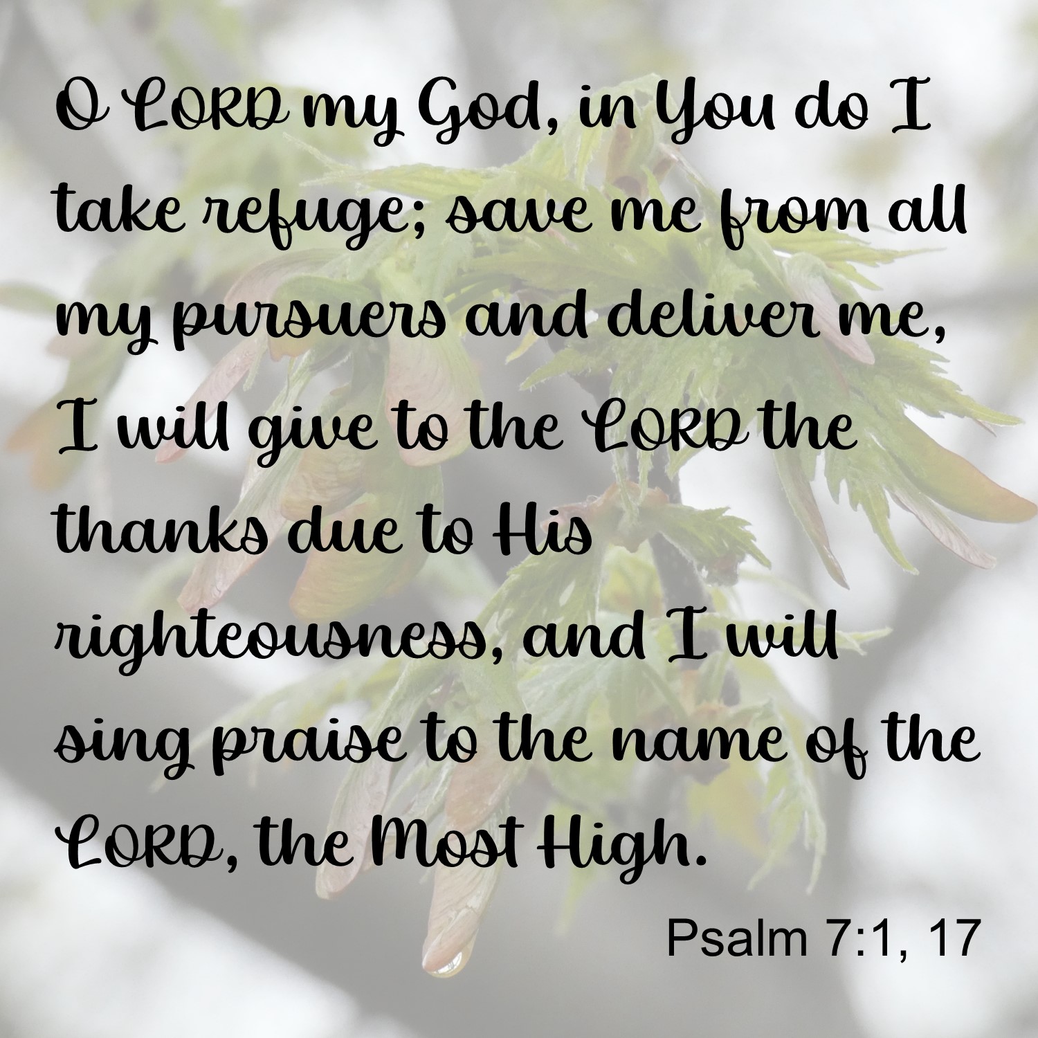 Take Refuge and Give Thanks – Pleading in Prayer