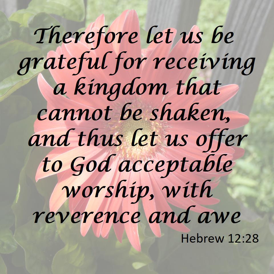 Unshakable – Pleading in Prayer
