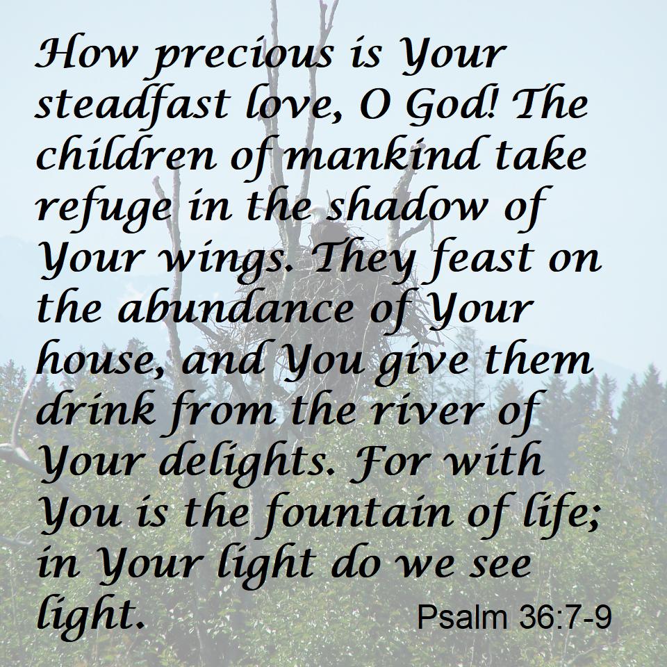 Precious Love – Pleading in Prayer